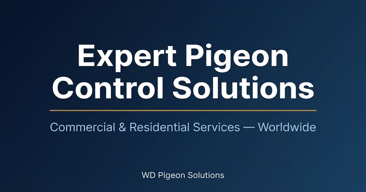 Pigeon Control AND Humane Bird Removal | WD Pigeon Solutions